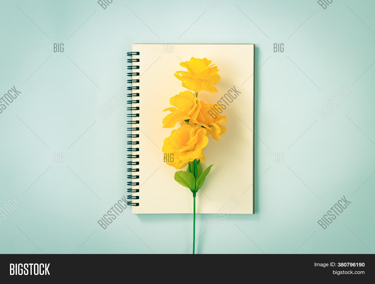 Spiral Notebook Spring Image & Photo (Free Trial) | Bigstock