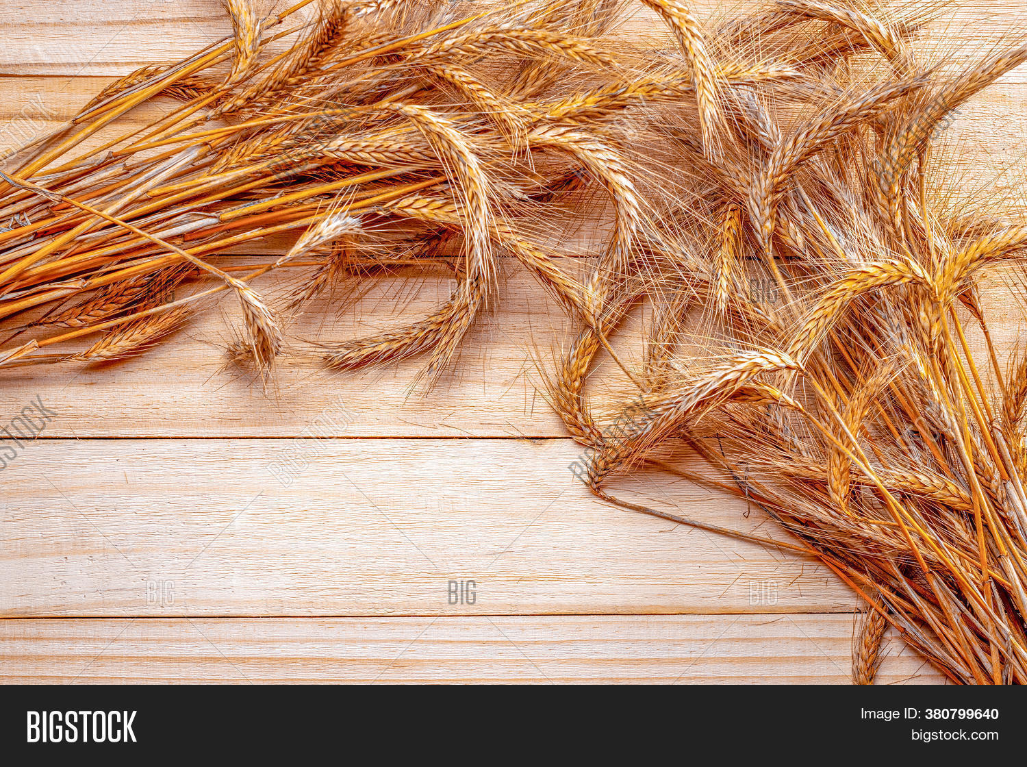 Wheat Raw Grain. Whole Image & Photo (Free Trial) | Bigstock