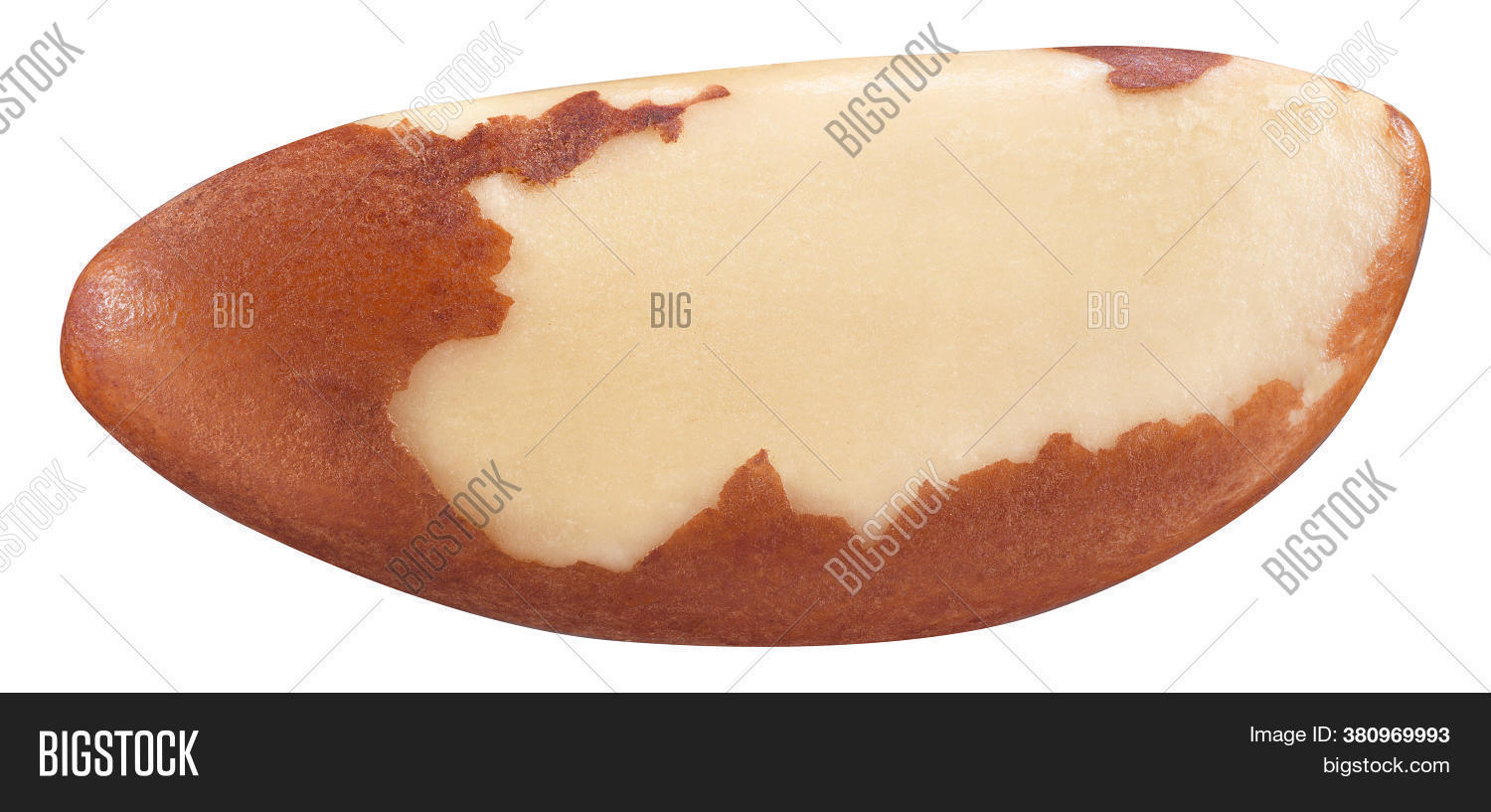 Brazil Nut Isolated On Image & Photo (Free Trial) | Bigstock