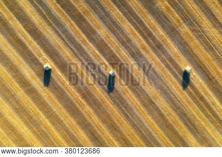 Hay Field Images, Illustrations & Vectors (Free) - Bigstock