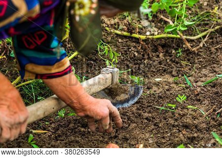 Dig Images, Illustrations & Vectors (Free) - Bigstock