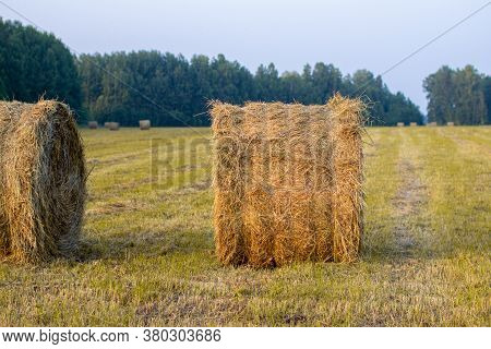 Hay Field Images, Illustrations & Vectors (Free) - Bigstock