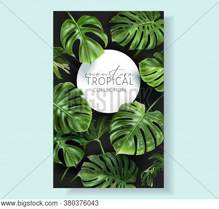 Vector Monstera Frame Vector & Photo (Free Trial) | Bigstock