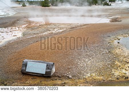 Sign Whirligig Geyser Image & Photo (Free Trial) | Bigstock