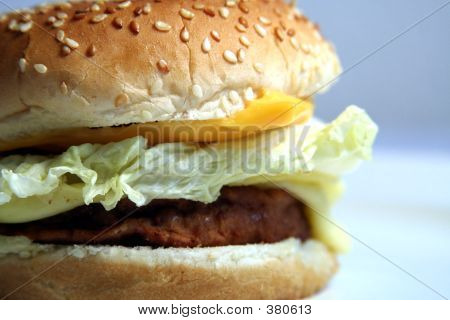 Burger Closeup Image & Photo (Free Trial) | Bigstock