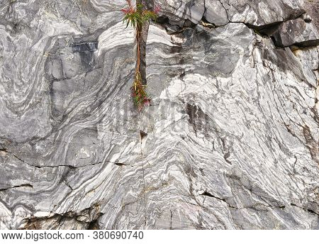 Slice Marble. Marble Image & Photo (Free Trial) | Bigstock