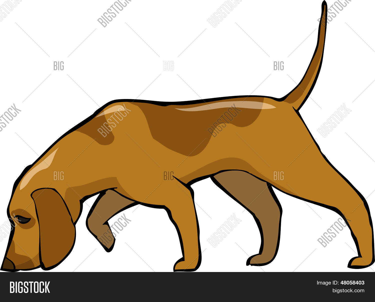 Hound Dog Vector & Photo (Free Trial) | Bigstock