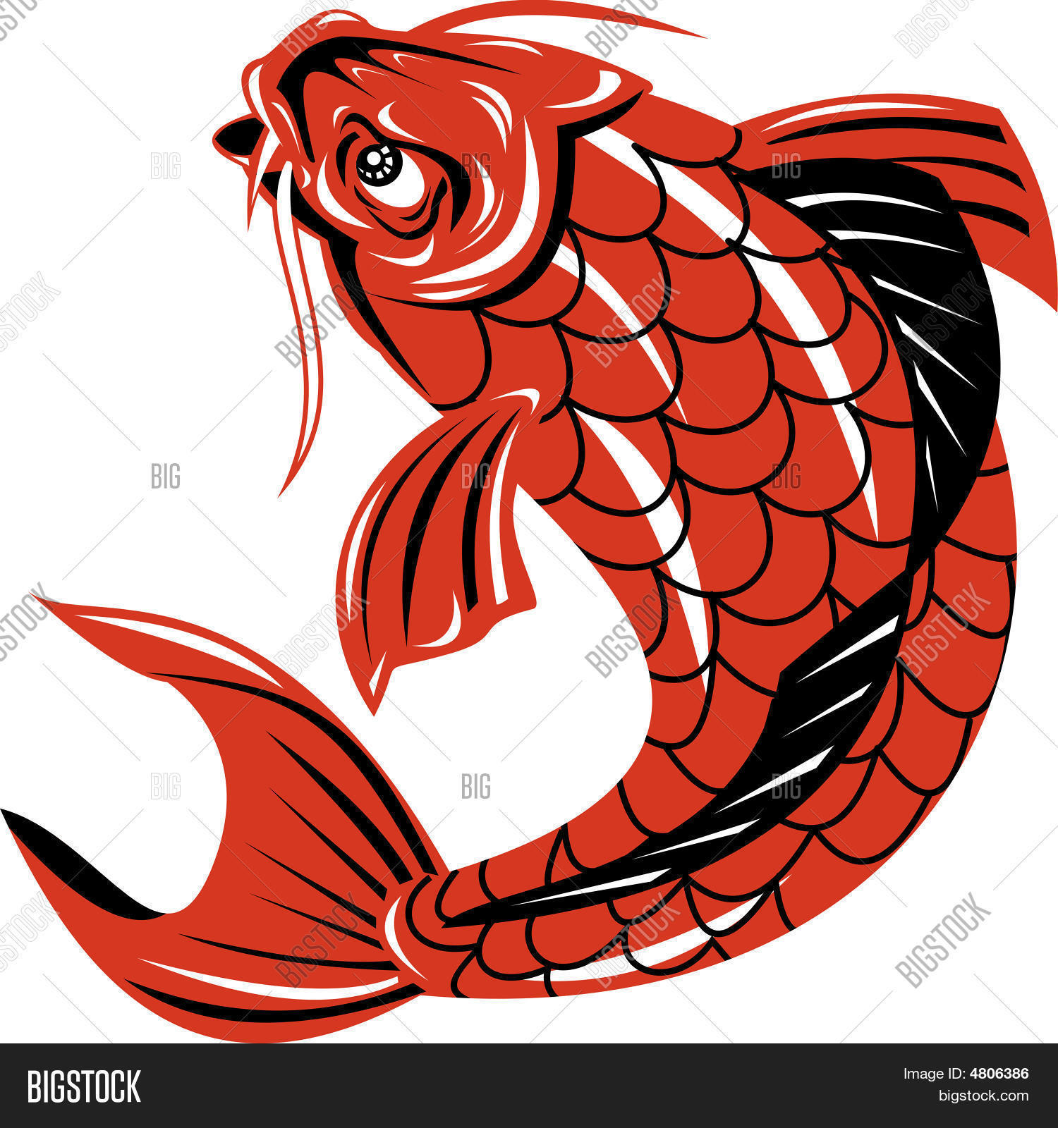 Koi Carp Vector & Photo (Free Trial) | Bigstock
