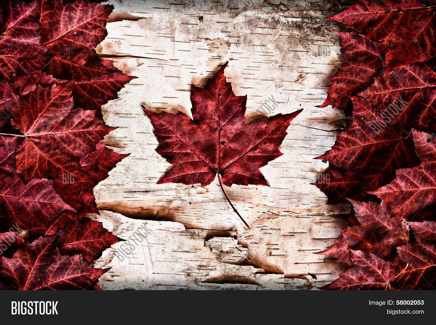 Canadian Background Image & Photo (Free Trial) | Bigstock