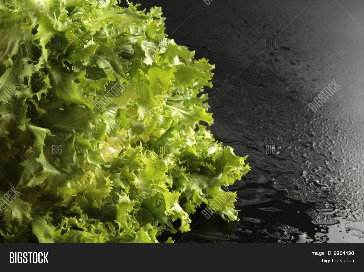 Lollo Bionda Lettuce Image & Photo (Free Trial) | Bigstock
