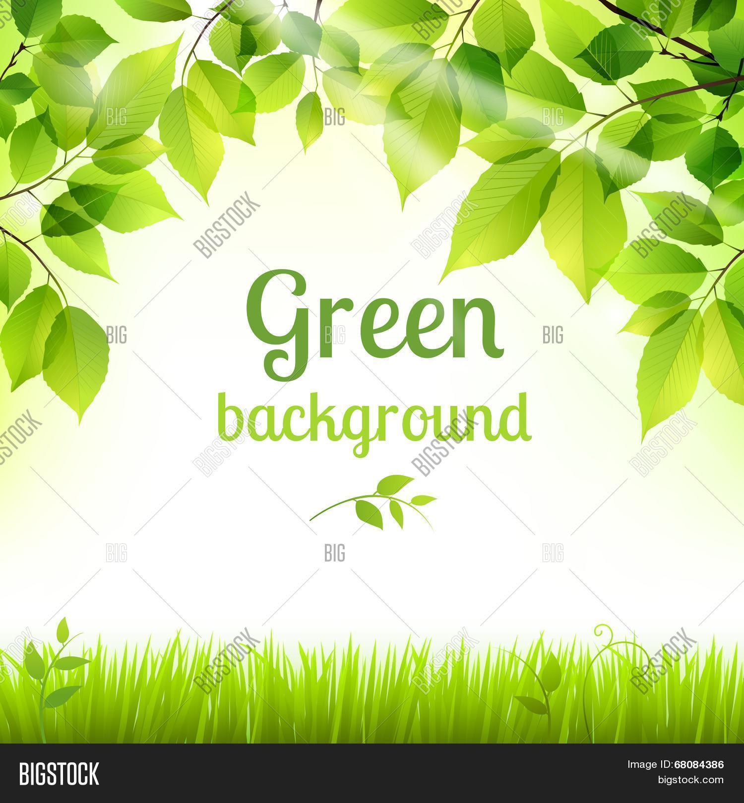 Natural Green Fresh Vector & Photo (Free Trial) | Bigstock