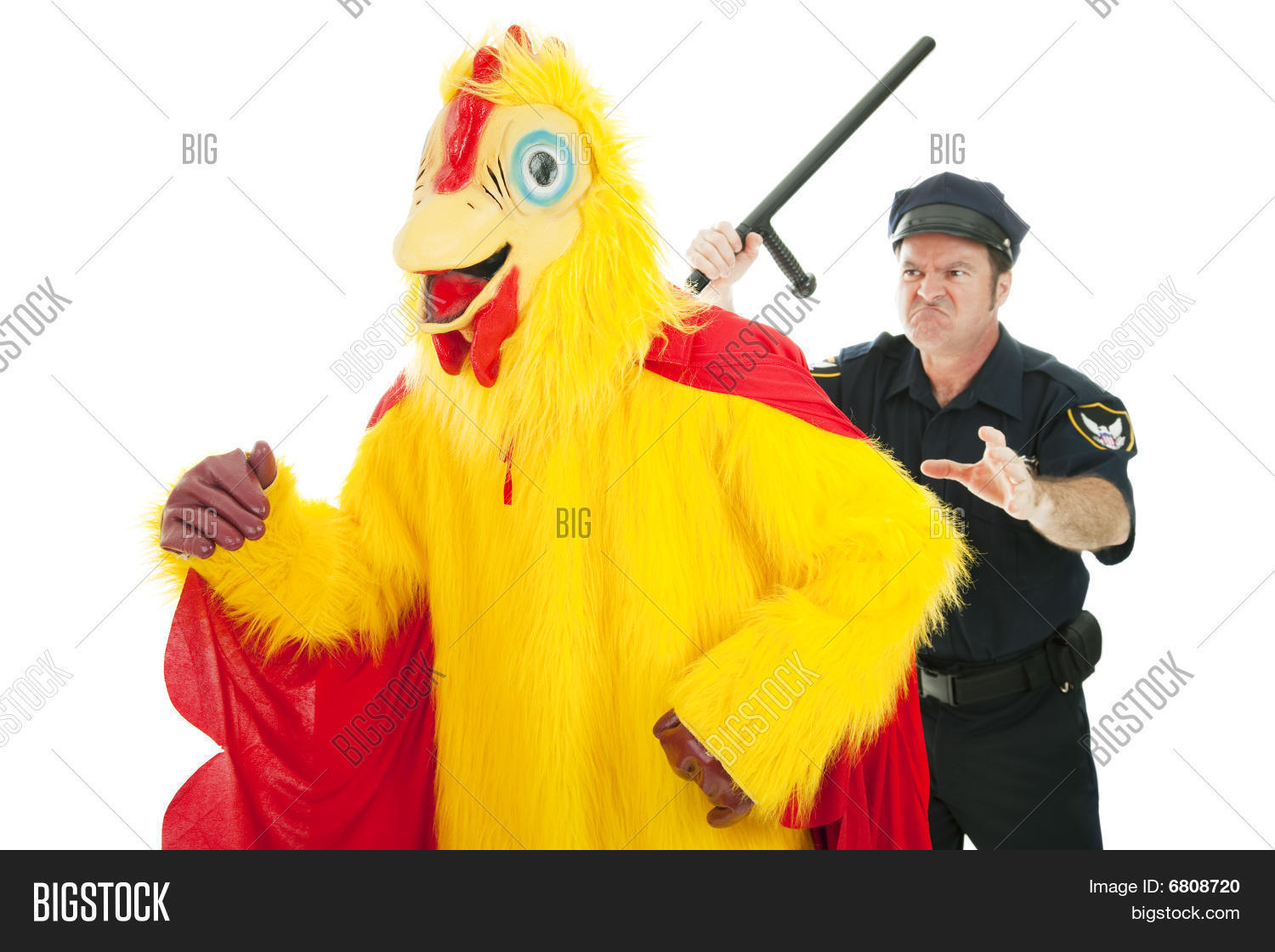 Cop Chasing Chicken Image & Photo (Free Trial) | Bigstock