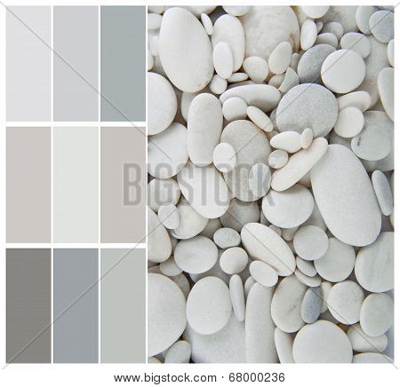 Pebble Color Palette Image & Photo (Free Trial) | Bigstock