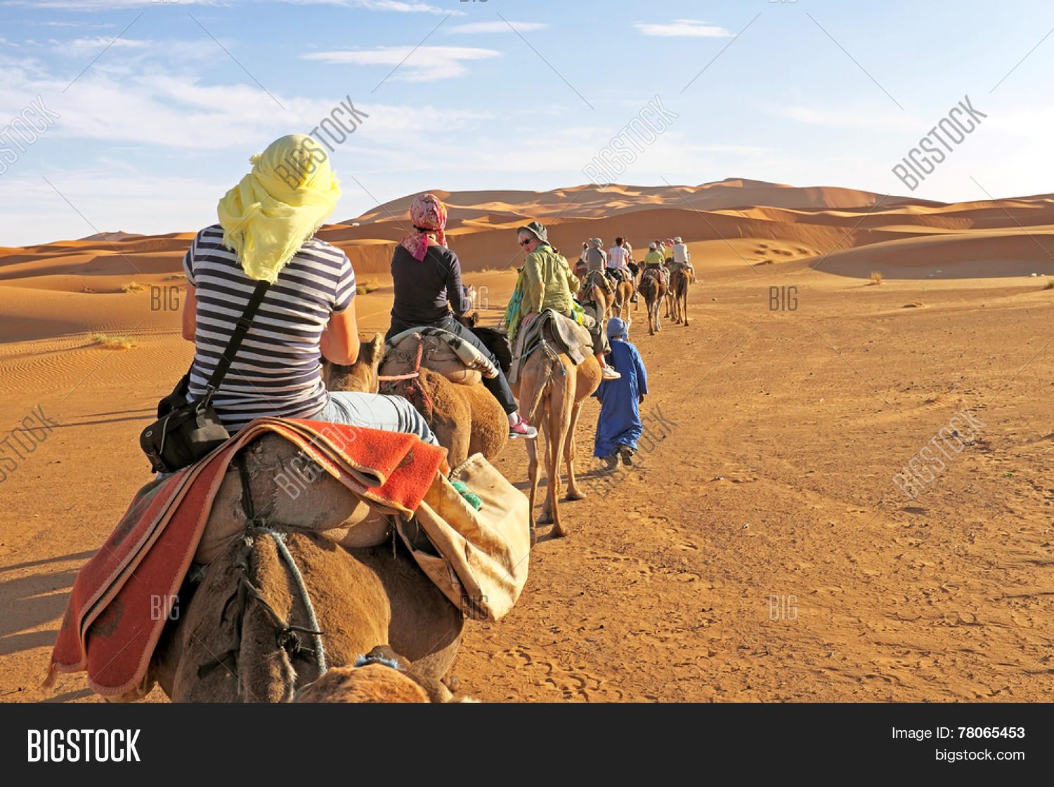 Camel Caravan Going Image & Photo (Free Trial) | Bigstock