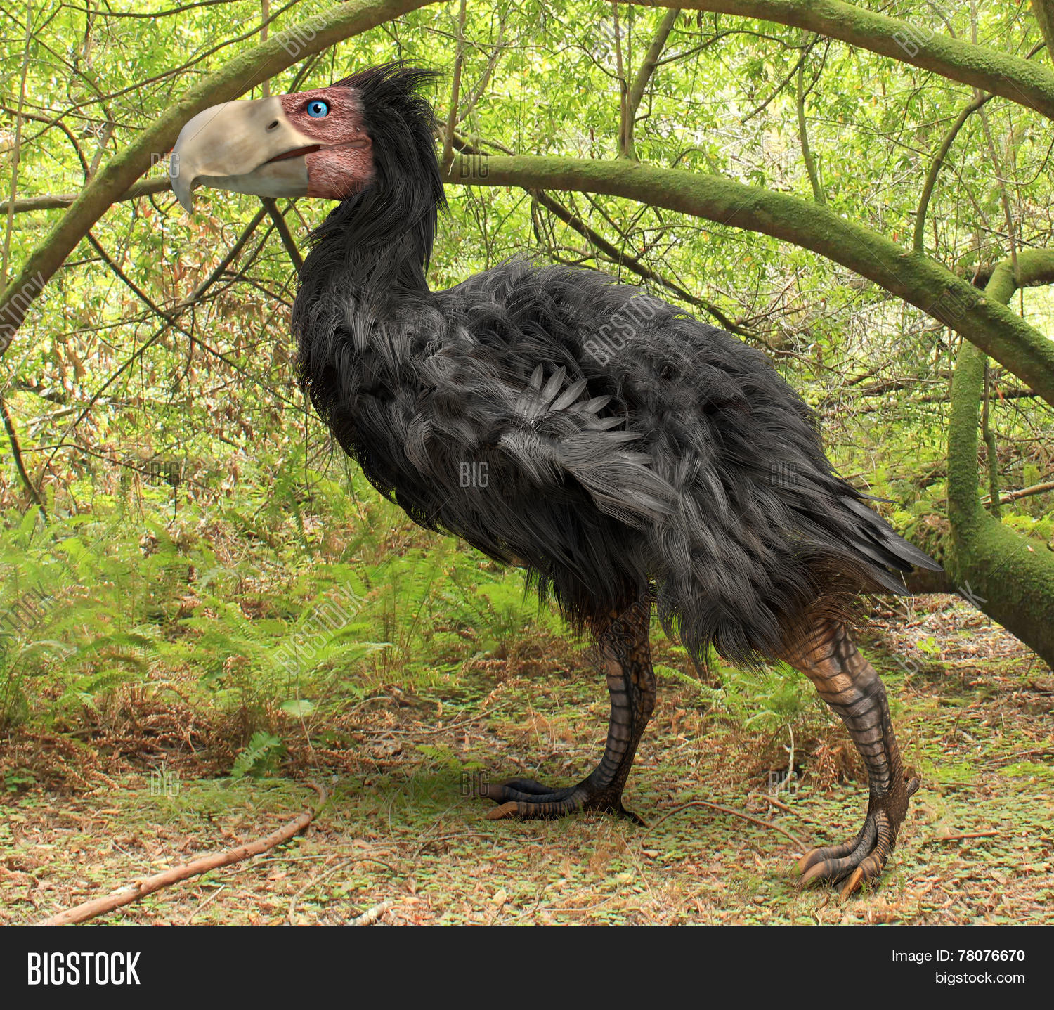 Gastornis Forest ( Image & Photo (Free Trial) | Bigstock