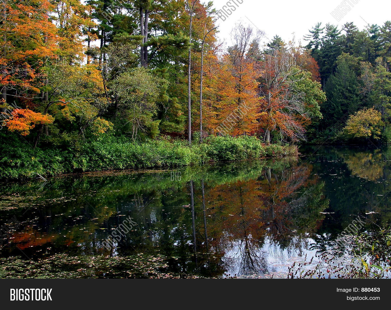 October Tennessee Image & Photo (Free Trial) | Bigstock