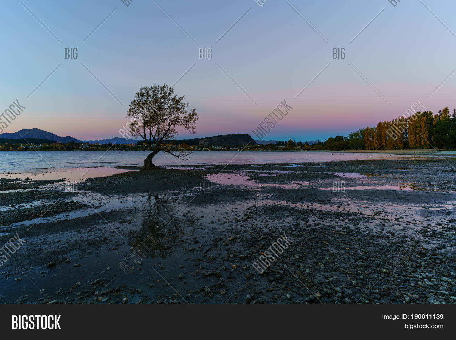 Famous Lone Tree Lake Image & Photo (Free Trial) | Bigstock