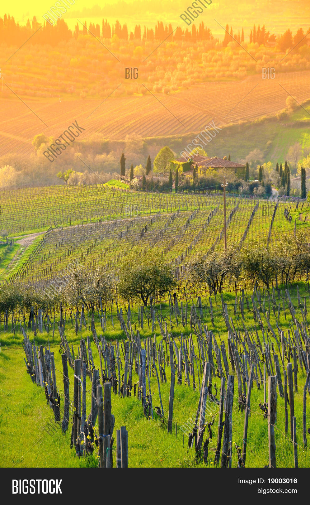 Italian Chianti Image & Photo (Free Trial) | Bigstock
