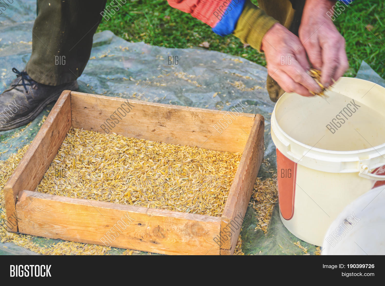Hands Working Sieve Image & Photo (Free Trial) | Bigstock