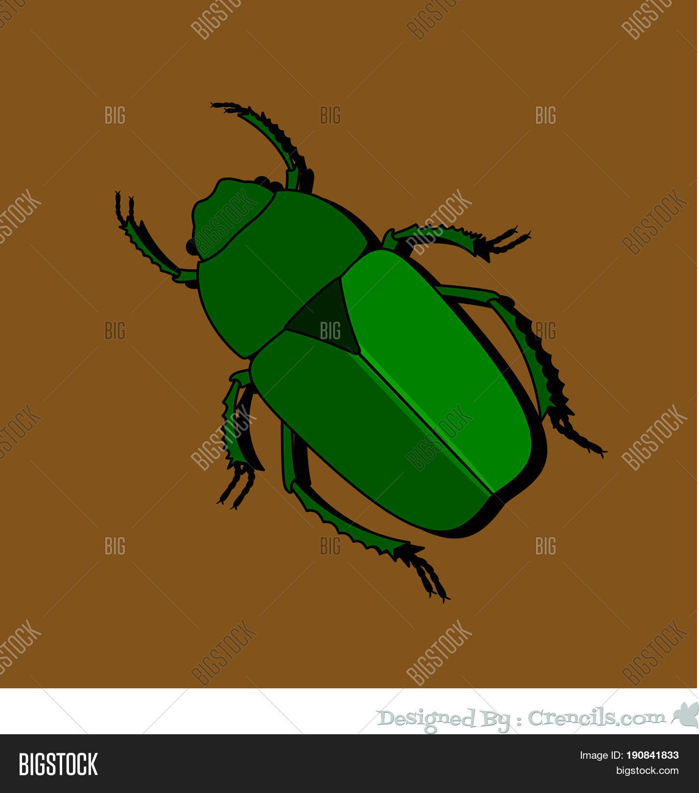 Green Beetle Insect Vector & Photo (Free Trial) | Bigstock