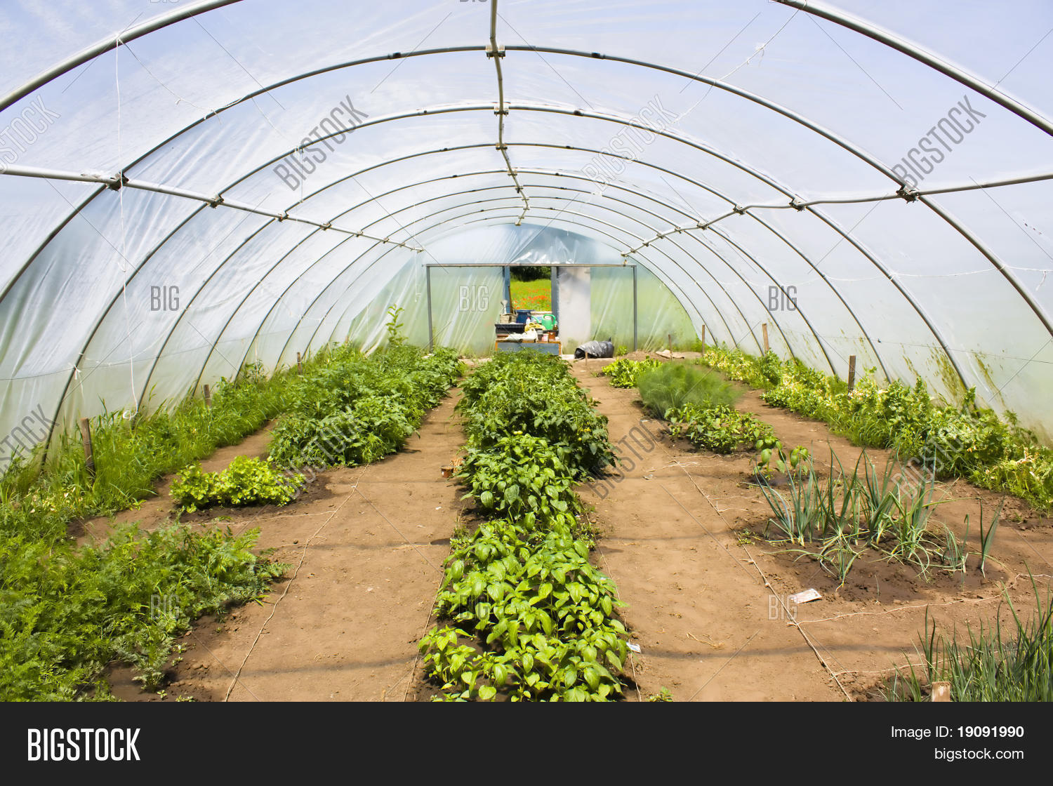 Full Polytunnel Image & Photo (Free Trial) | Bigstock