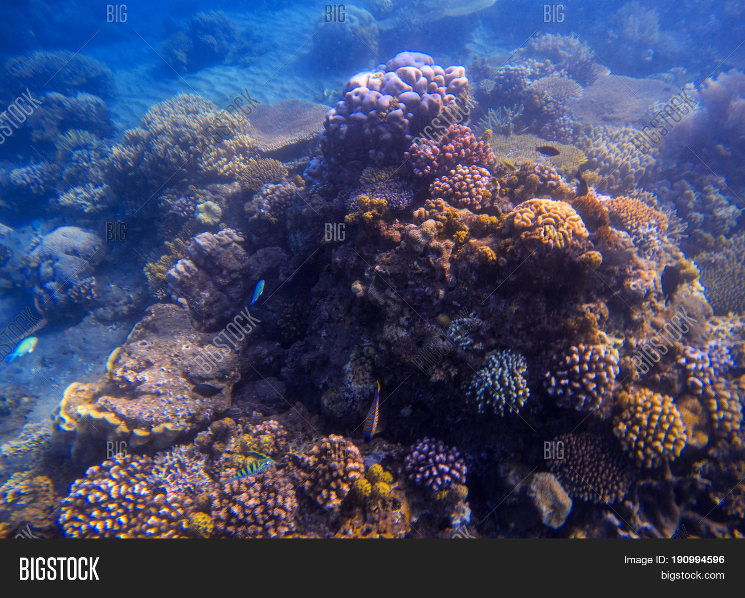 Blue Sea Water Image & Photo (Free Trial) | Bigstock