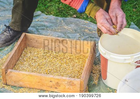 Hands Working Sieve Image & Photo (Free Trial) | Bigstock