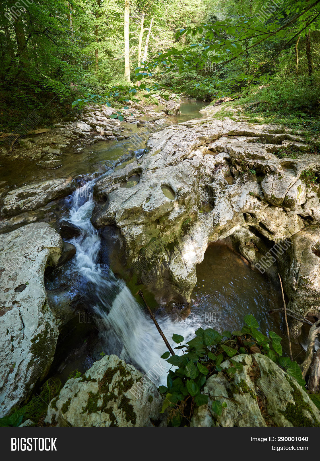 Mountain River Flows Image & Photo (Free Trial) | Bigstock