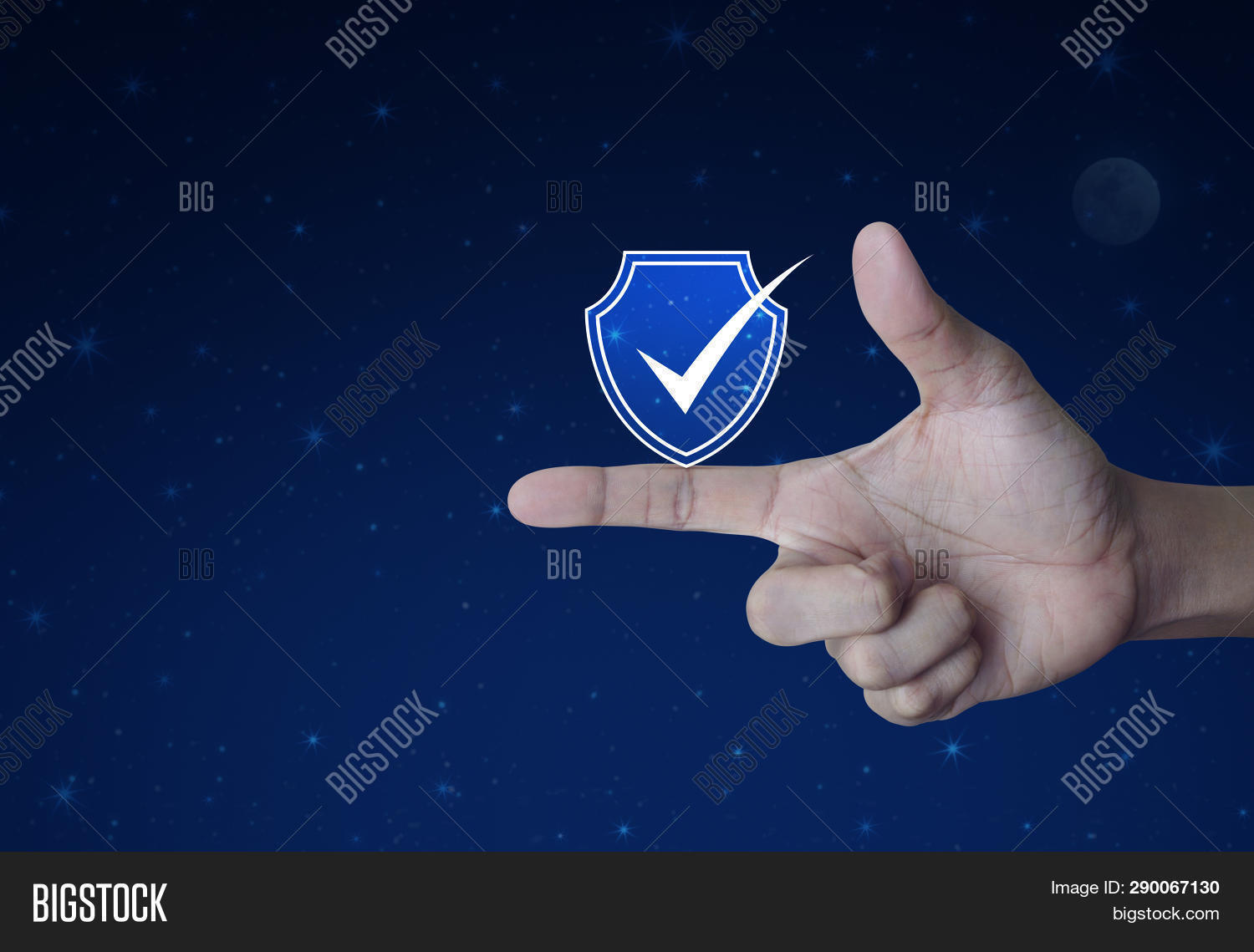 Security Shield Check Image & Photo (Free Trial) | Bigstock