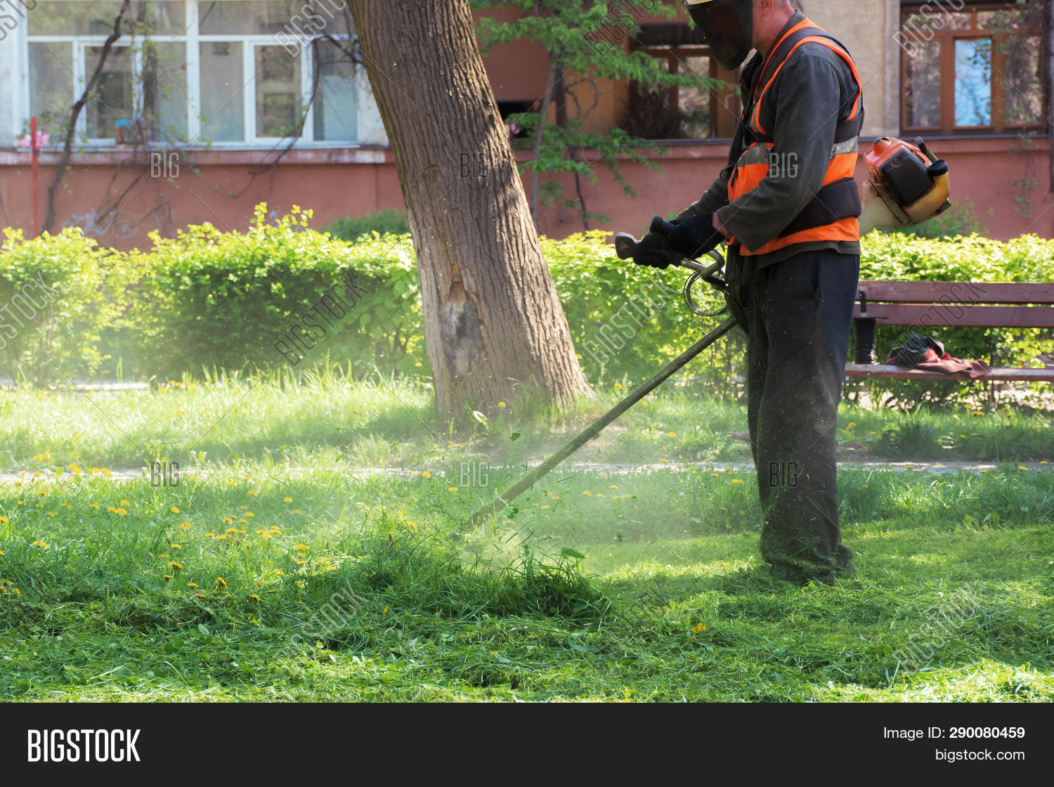 Professional Lawn Image & Photo (Free Trial) | Bigstock