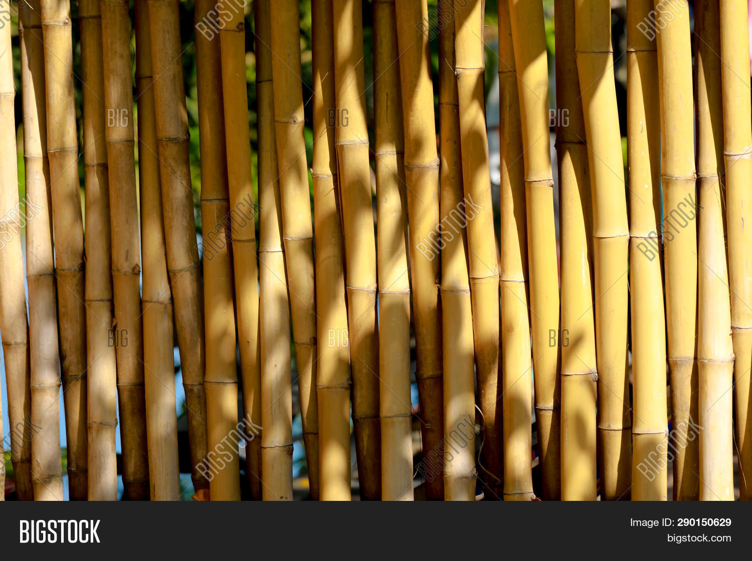 Bamboo Wood Wall Image & Photo (Free Trial) | Bigstock