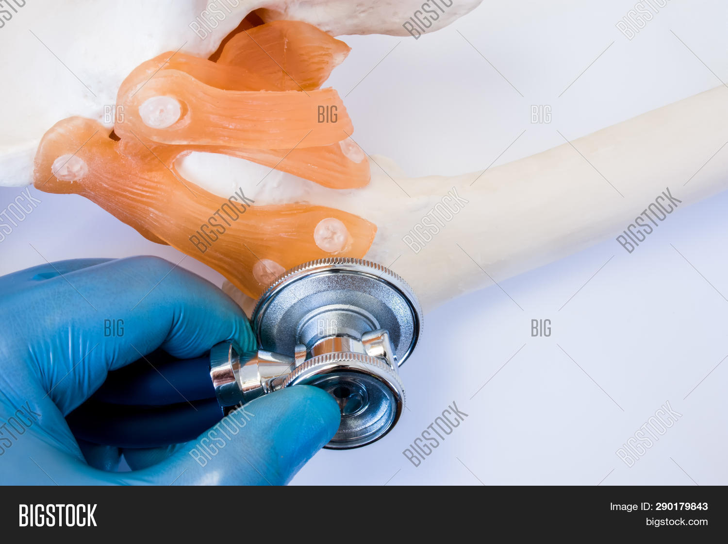 Doctor Checks Image & Photo (Free Trial) | Bigstock