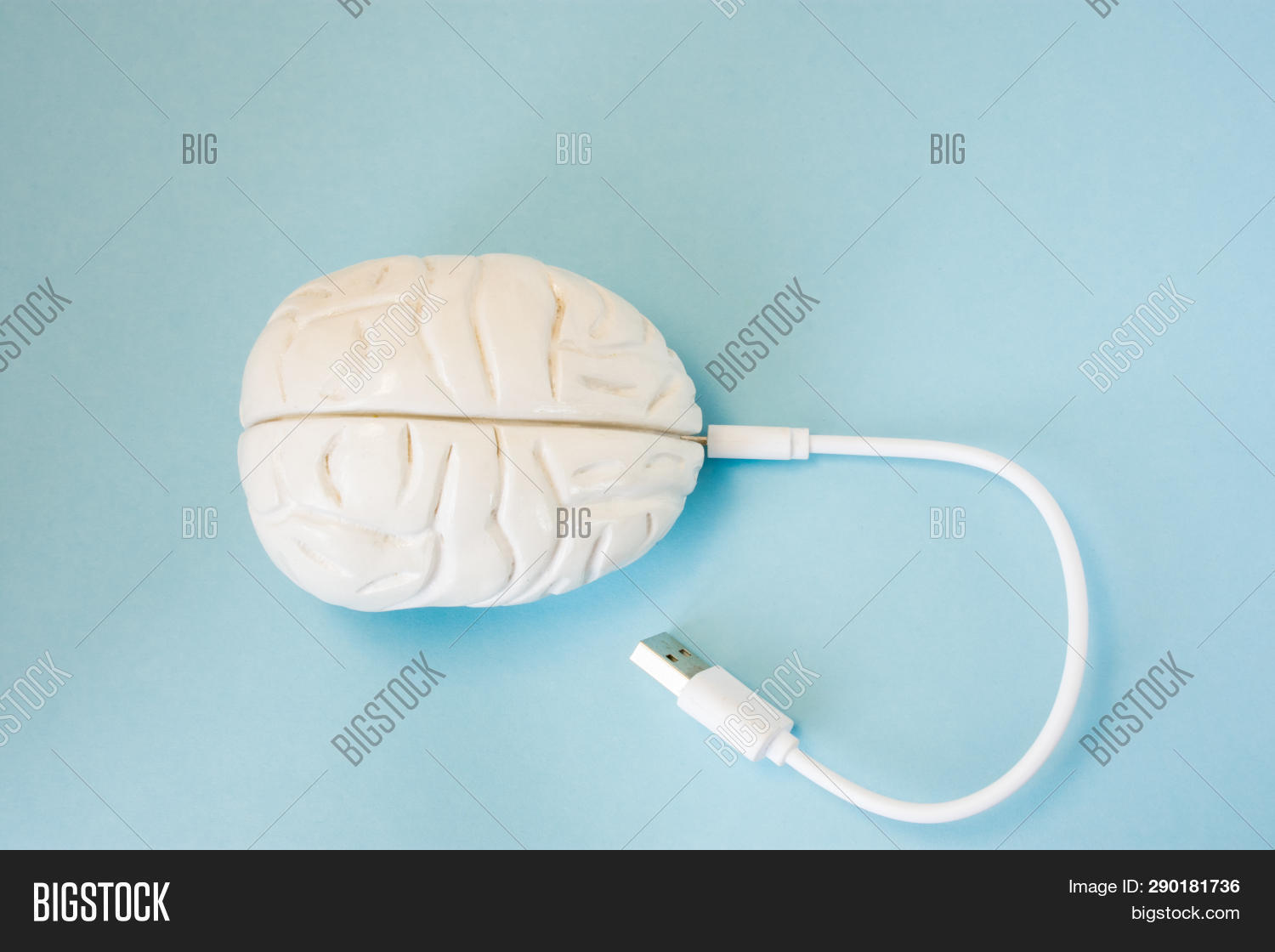 Brain Inserted Socket Image & Photo (Free Trial) | Bigstock