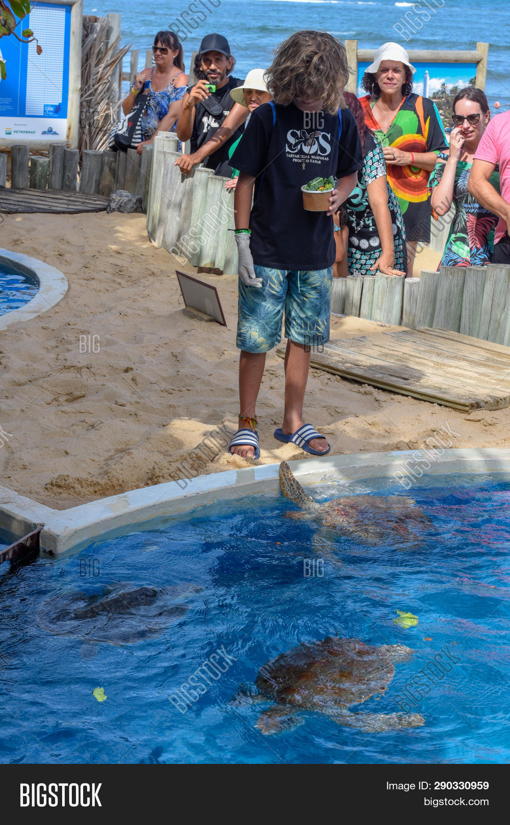 Boy Who Feeds Turtles Image & Photo (Free Trial) | Bigstock