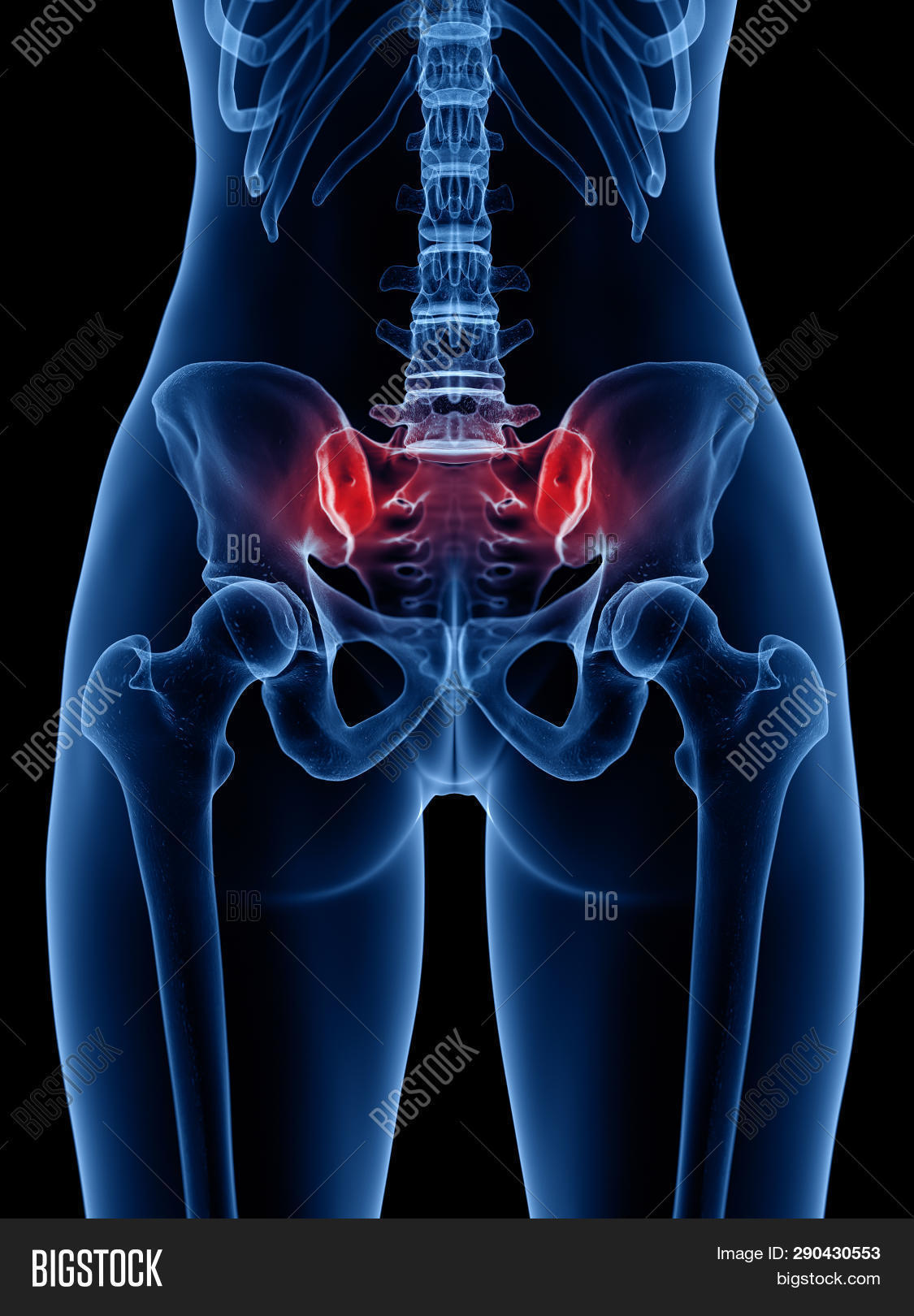 3d Rendered Medically Image & Photo (Free Trial) | Bigstock