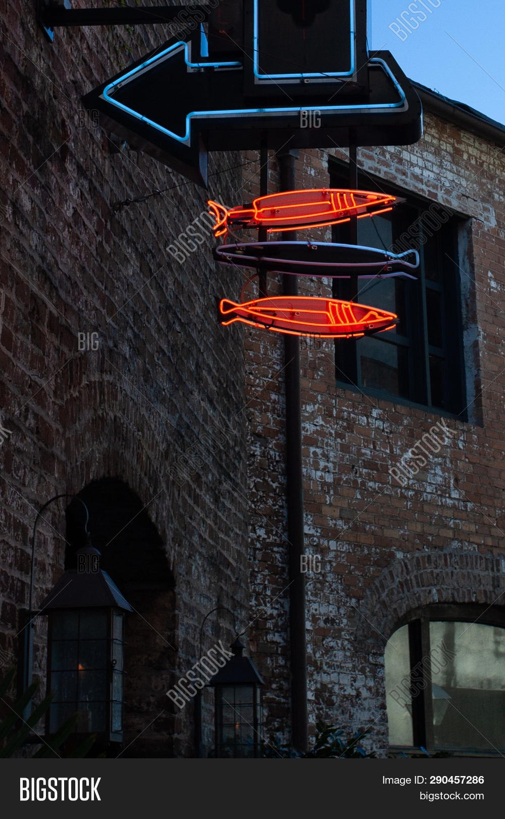 Neon Arrow Fish Signs Image & Photo (Free Trial) | Bigstock