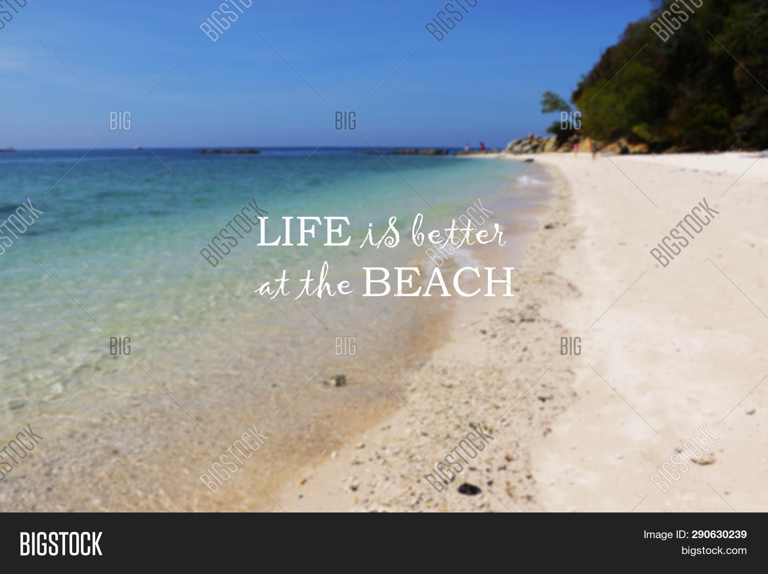 Blurry Beach Image & Photo (Free Trial) | Bigstock