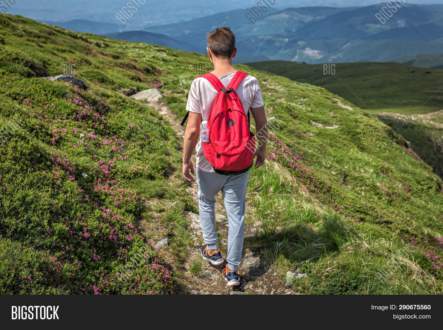 Traveler Man Red Image & Photo (Free Trial) | Bigstock