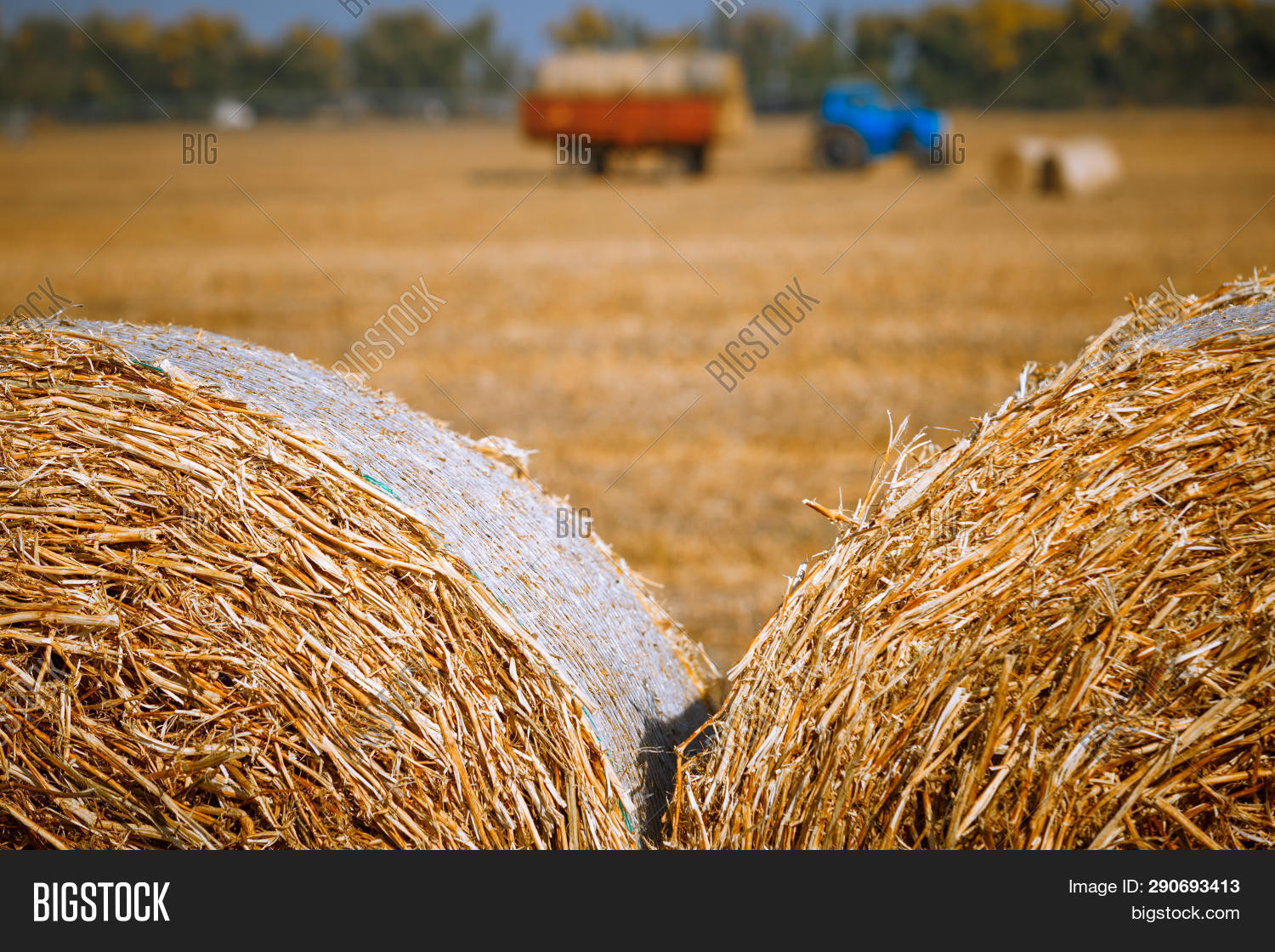 Hay Bail Harvesting Image & Photo (Free Trial) | Bigstock