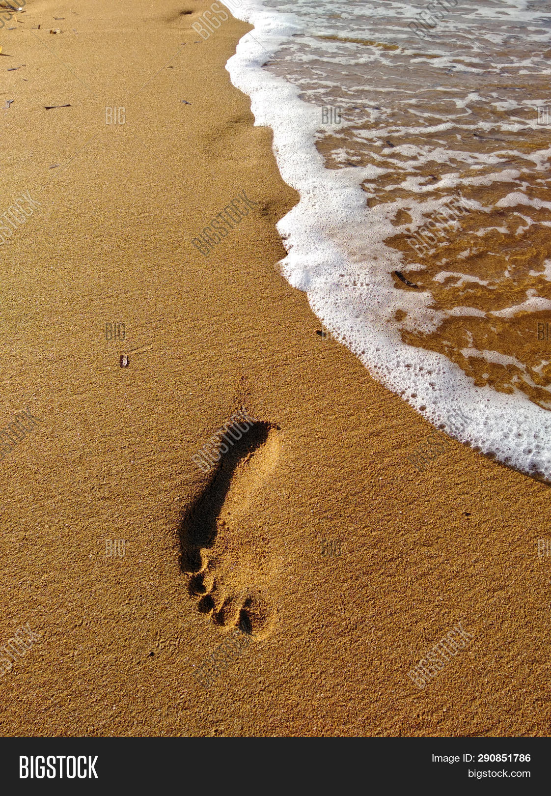 Lonely Footprint Beach Image & Photo (Free Trial) | Bigstock