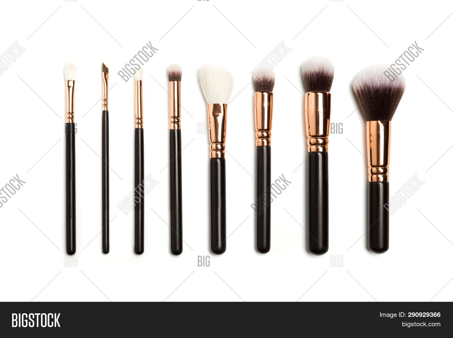Set Brushes Powder. Image & Photo (Free Trial) | Bigstock
