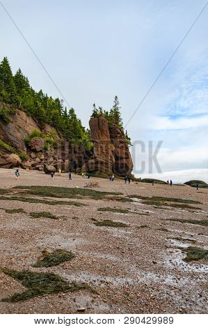 Bay Fundy Canada Image & Photo (Free Trial) | Bigstock