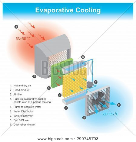 Causing Air Cool Down Vector & Photo (Free Trial) | Bigstock