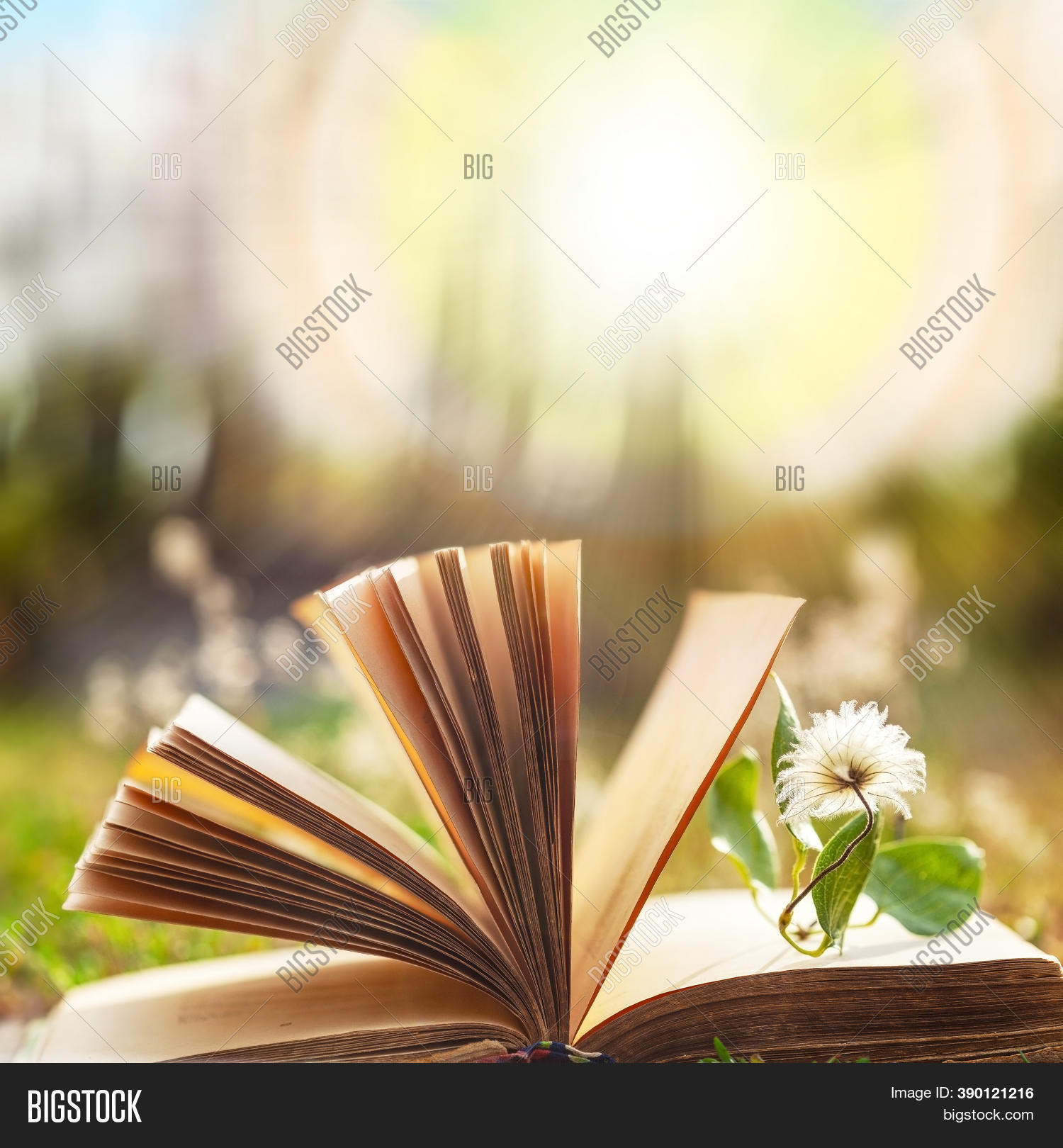 Opened Book.natural Image & Photo (Free Trial) | Bigstock
