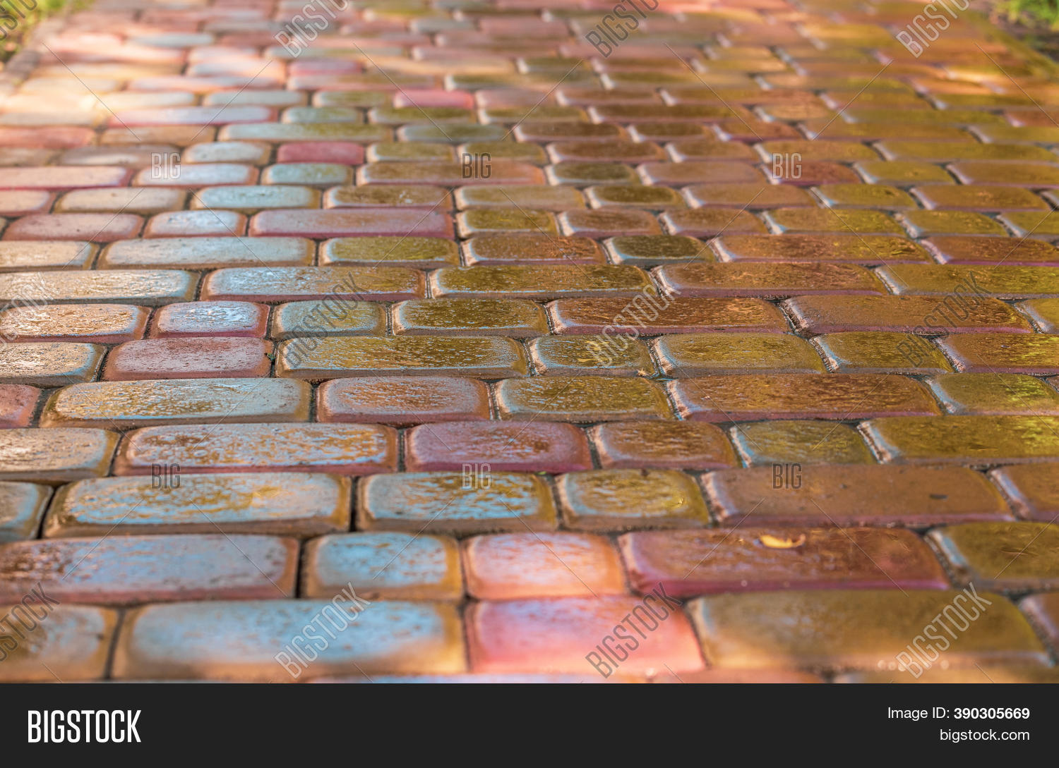 Pink Paving Slab After Image & Photo (Free Trial) | Bigstock