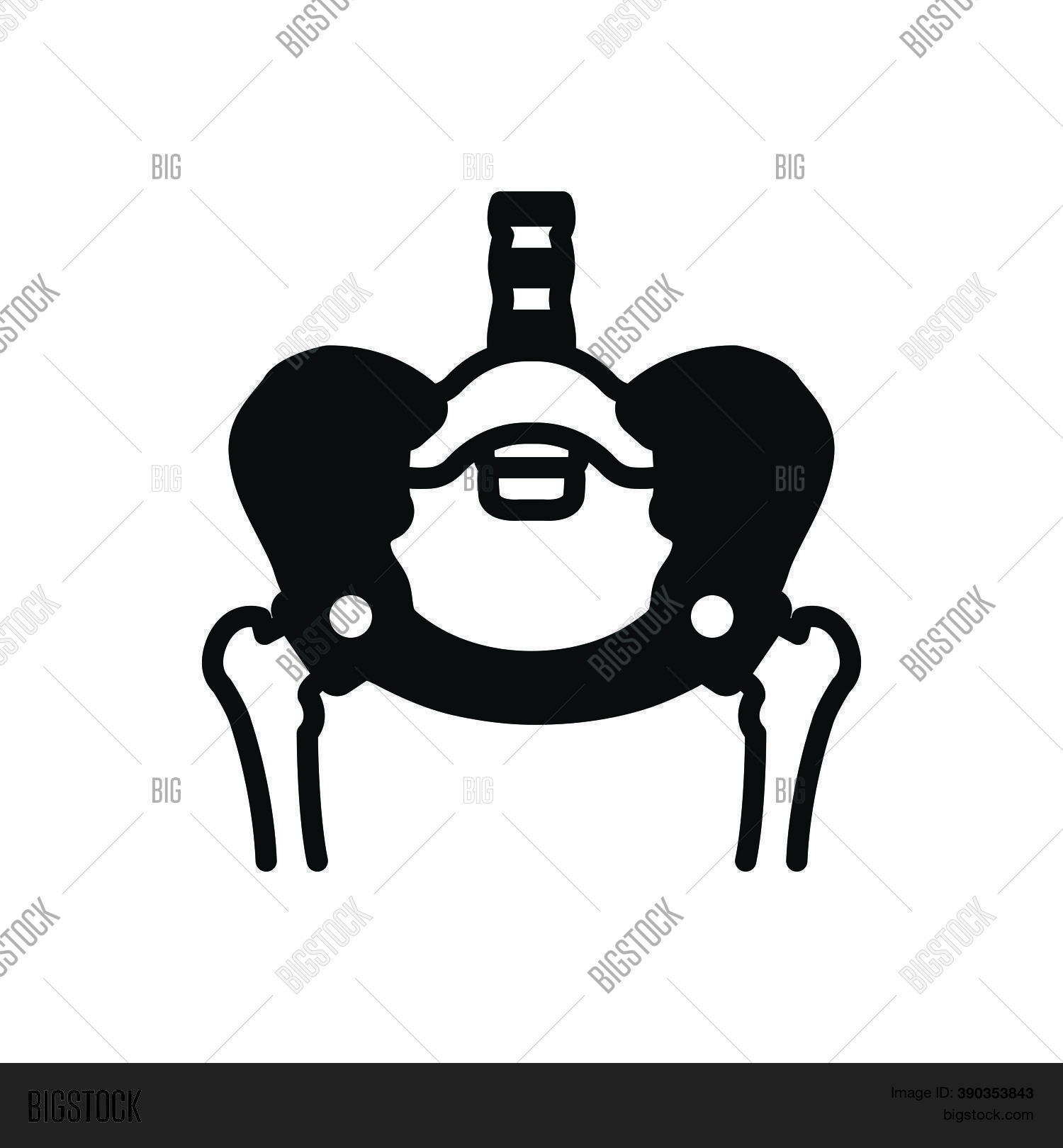 Black Solid Icon Hip Vector & Photo (Free Trial) | Bigstock
