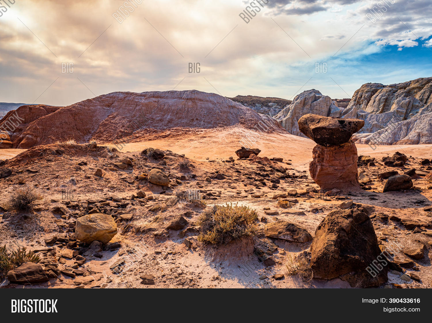 Toadstool Trail Leads Image & Photo (Free Trial) | Bigstock