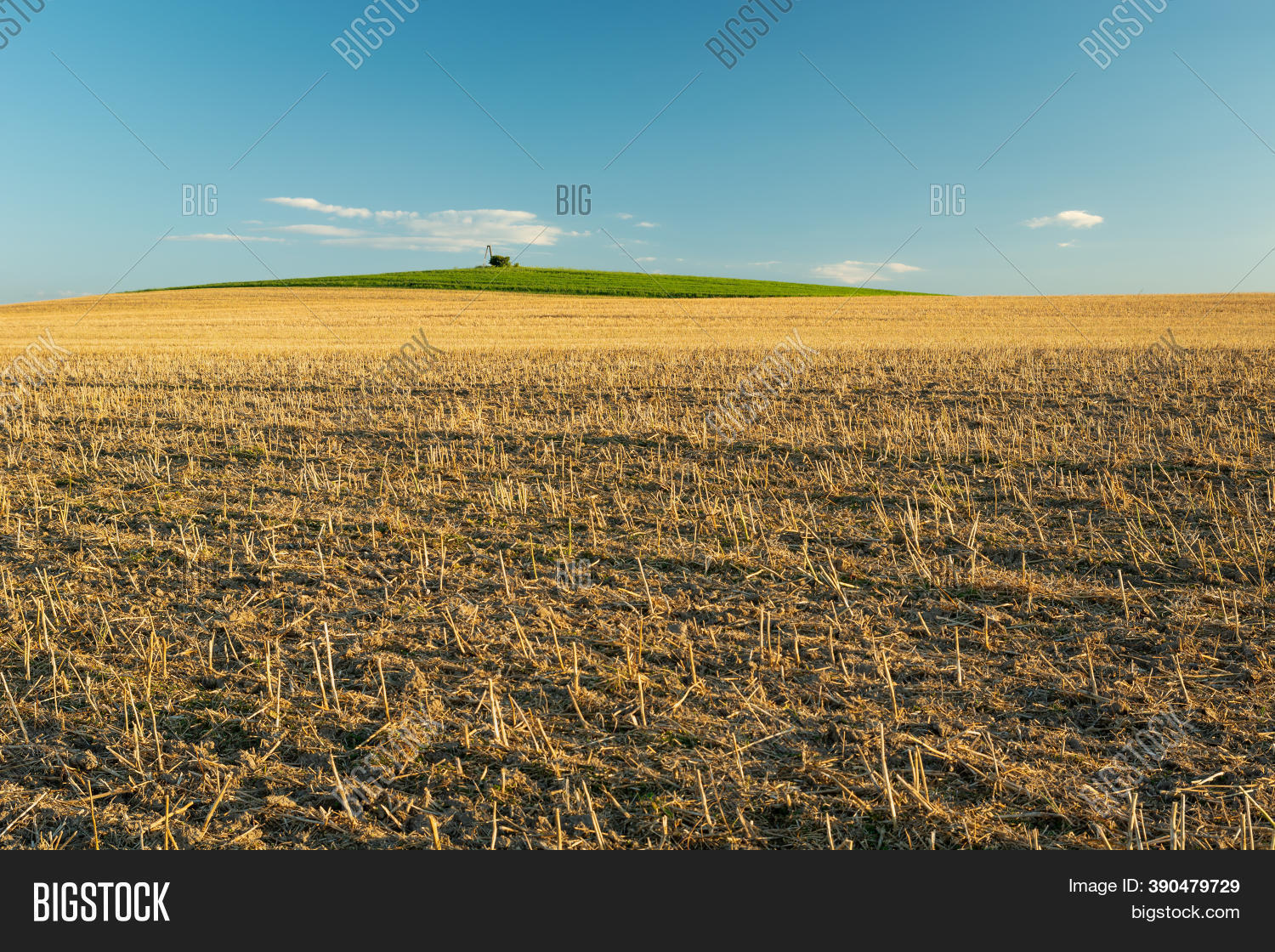 Huge Field Stubble Image & Photo (Free Trial) | Bigstock