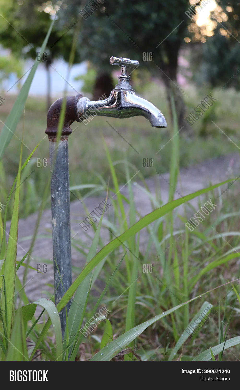 Outdoor Water Tap Image & Photo (Free Trial) | Bigstock