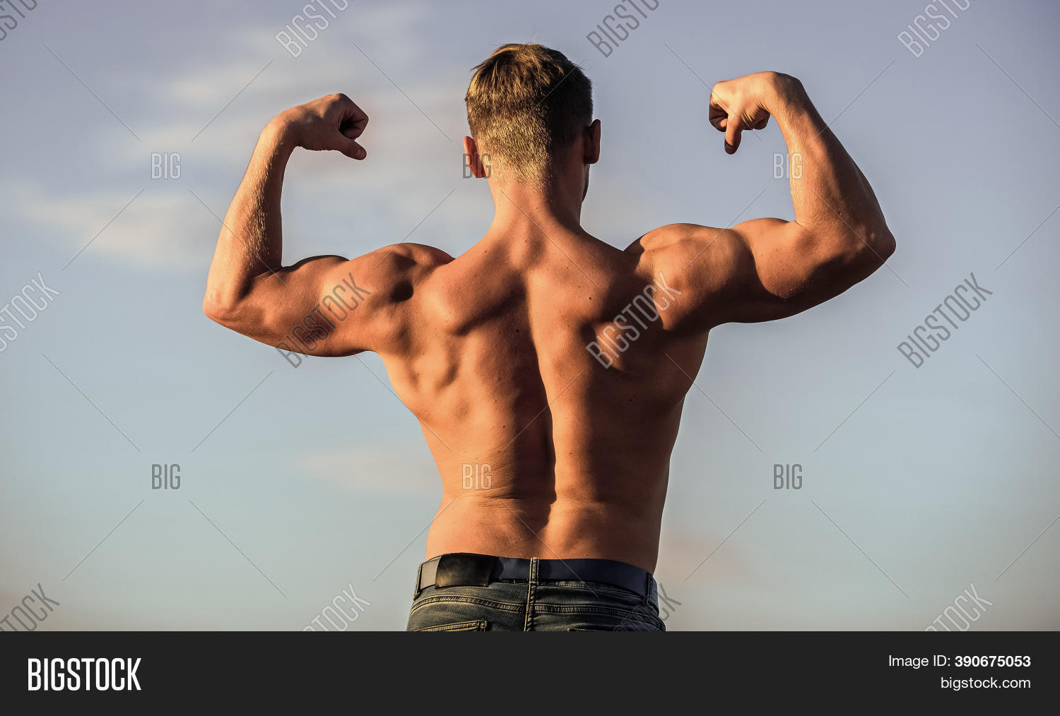 Bodybuilder Shape. Image & Photo (Free Trial) | Bigstock